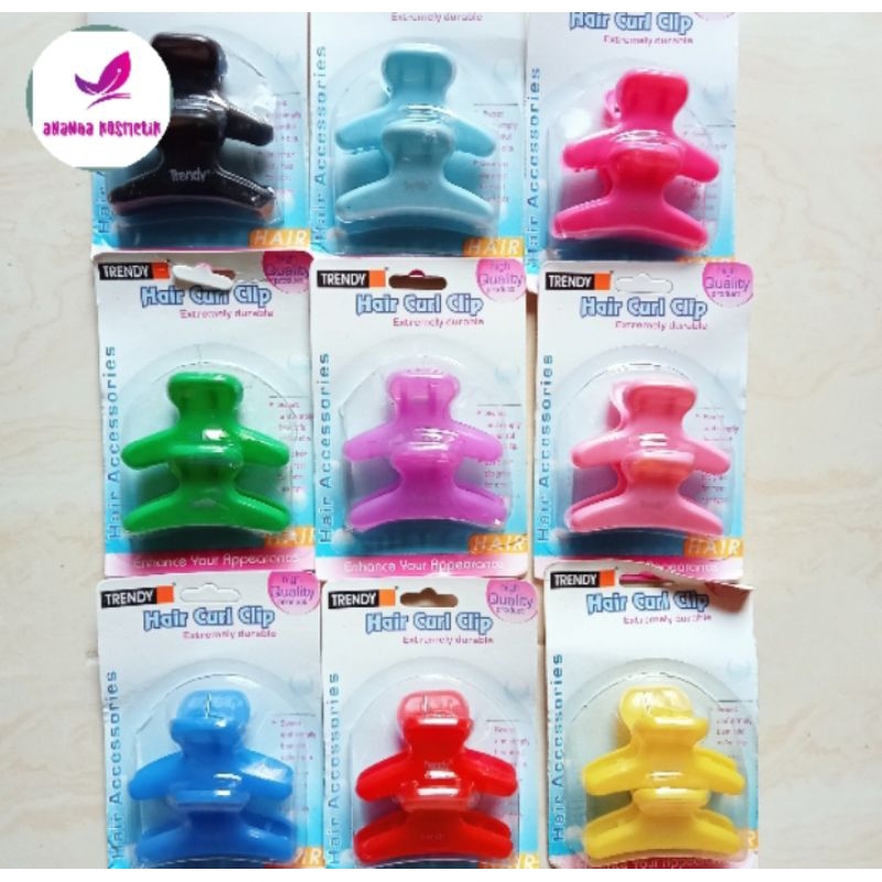 Jual TRENDY HAIR CURL CLIP / JEPIT SALON / JEPIT RAMBUT SIZE SMALL ISI ...