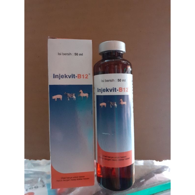 Jual INJEKVIT B12 VITAMIN B12 50 ML VITAMIN SAPI VITAMIN KAMBING ...