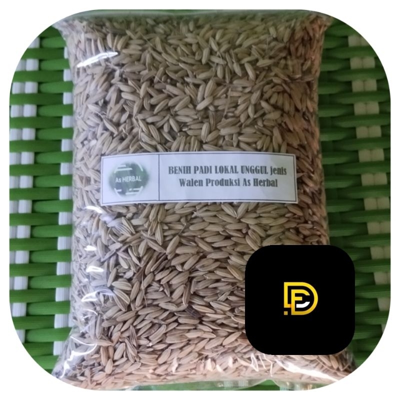 Jual Gabah padi lokal super gabah padi super-az | Shopee Indonesia