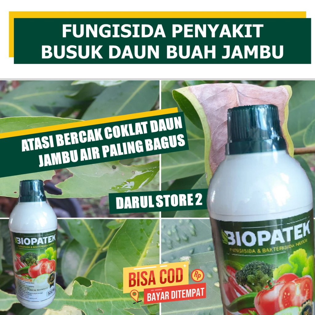 Jual Fungisida BERCAK DAUN JAMBU AIR PALING AMPUH - Obat Organik Atasi ...