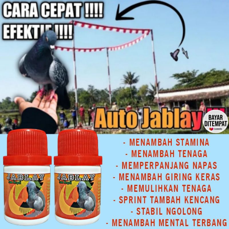 Jual JAMU KHUSUS MERPATI JA BLAY ISI 100 BUTIR extra power door super ...