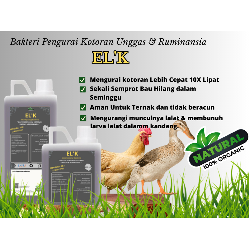 Jual Promo ELKA Penghilang Bau Amonia, Kotoran Ayam,-Puyuh, Bebek Dan Ruminansia ( EL'K ...