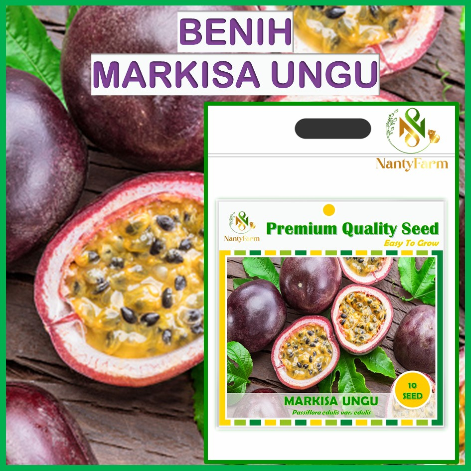 Jual Benih Biji Buah Buah Markisa Ungu 10 Biji | Shopee Indonesia