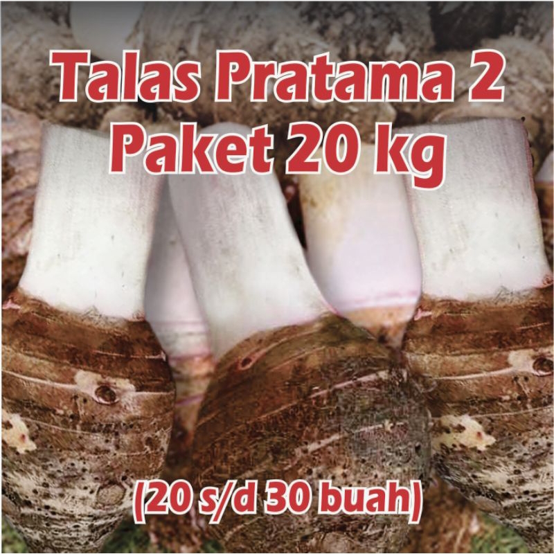 Jual umbi talas pratama segar/umbi talas. paket 10, 20 dan 50 kg ...
