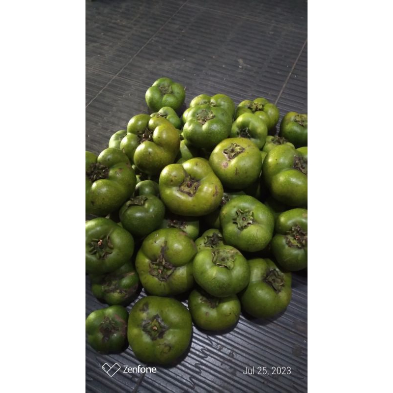Jual 1KG buah black sapote /sawo hitam organik langsung dari petani ...