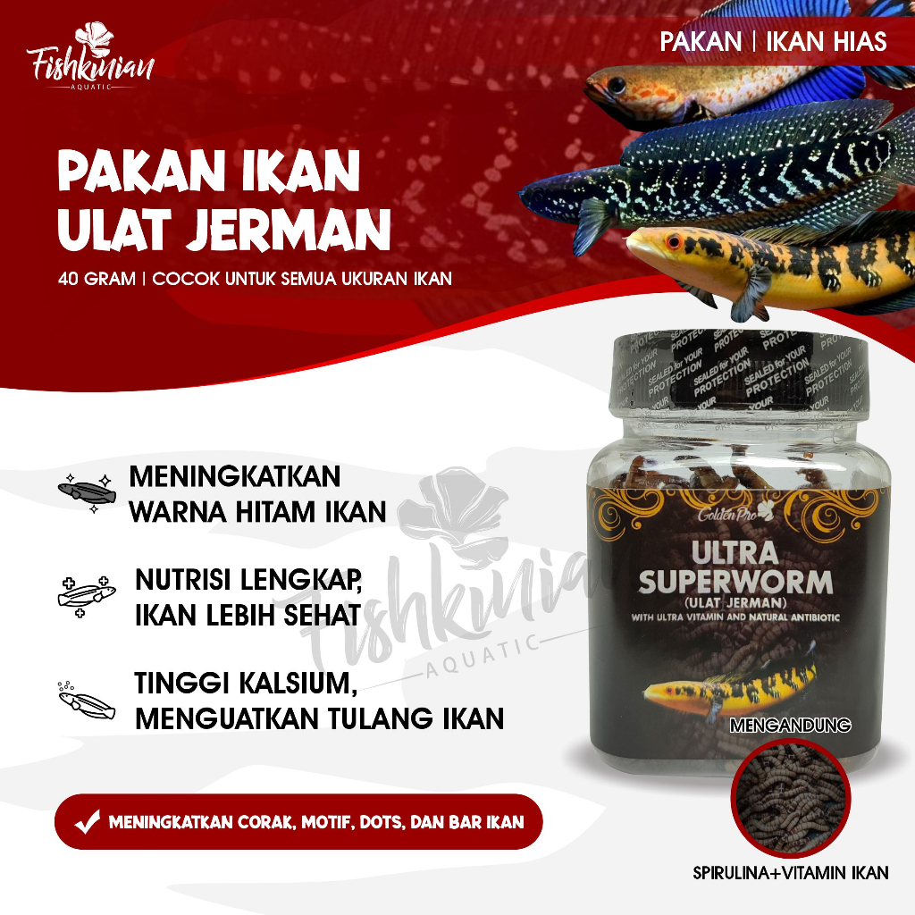 Jual Fishkinian | Ultra Superworm - Ulat Jerman Kering Pakan Ikan Hias ...