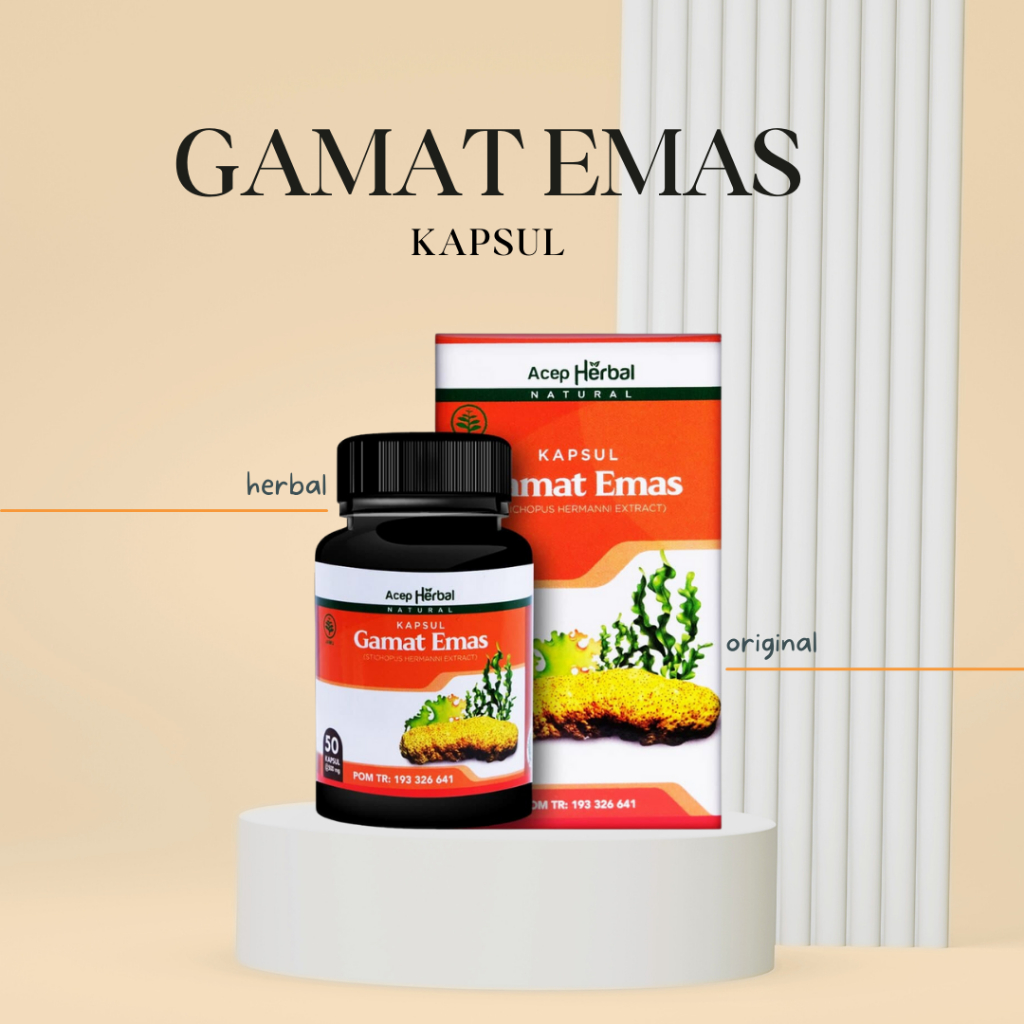 Jual EKSTRAK GAMAT TERIPANG EMAS KAPSUL 100 % ORIGINAL MURAH | Shopee ...