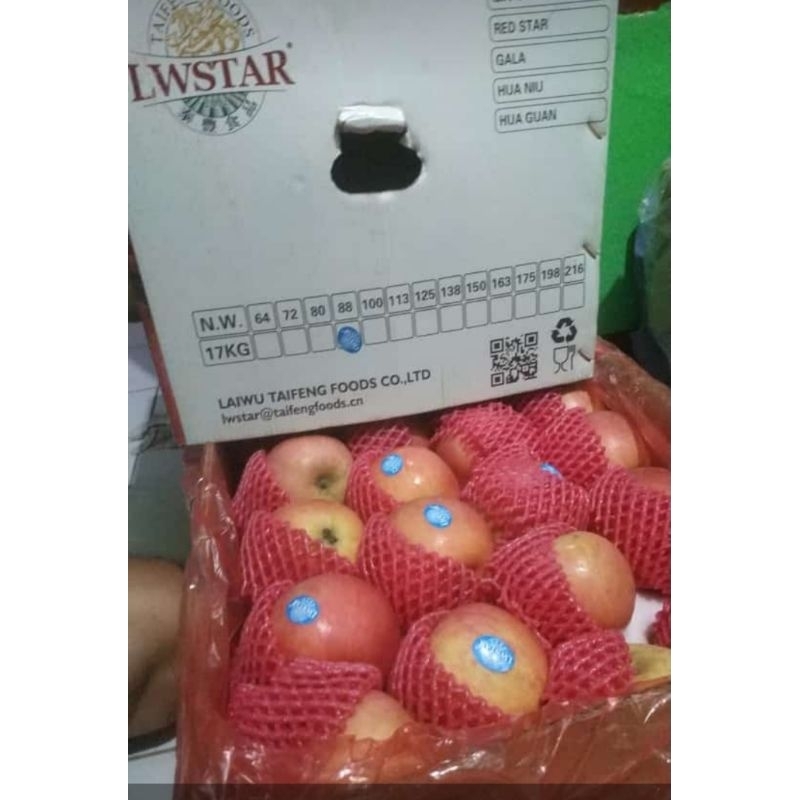 Jual Apel fuji premium 1 kg | Shopee Indonesia