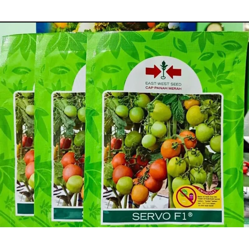 Jual benih tomat SERVO F1 isi 1750 btr | Shopee Indonesia