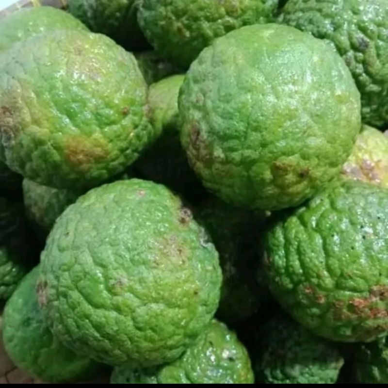 Jual Asam Jungga/Jeruk Jungga/Sunde 1 buah Segar | Shopee Indonesia