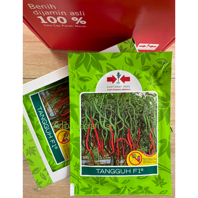 Jual Benih Cabe Merah Keriting Tangguh F1 2.000 Butir - Bibit Unggul ...