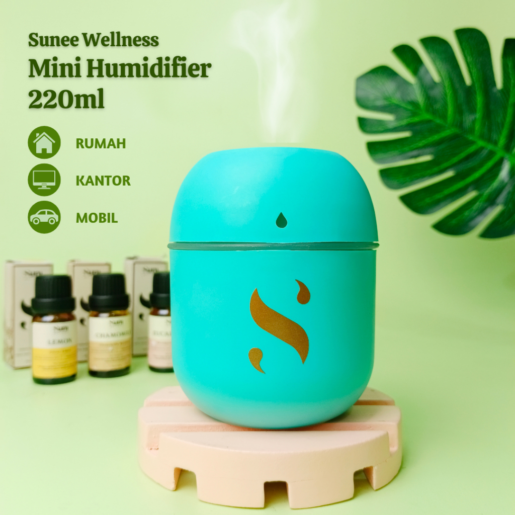 Jual Portable Mini Humidifier Diffuser 220ml Shopee Indonesia