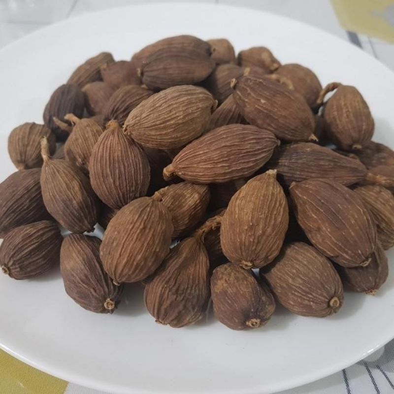 Jual Kapolaga hitam / kapulaga hitam / Black cardamom | Shopee Indonesia