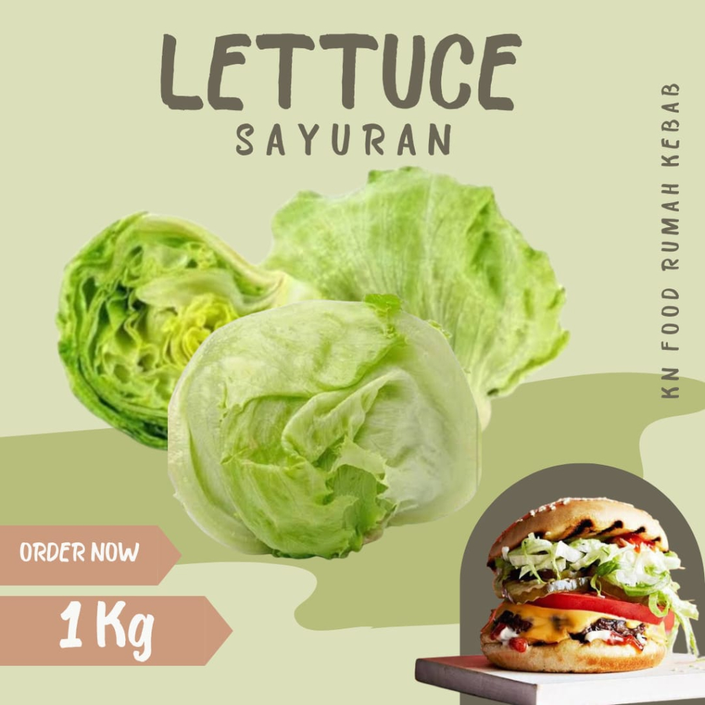 Jual Letus/letuce 1 Kg Segar/ Sayuran Kebab | Shopee Indonesia