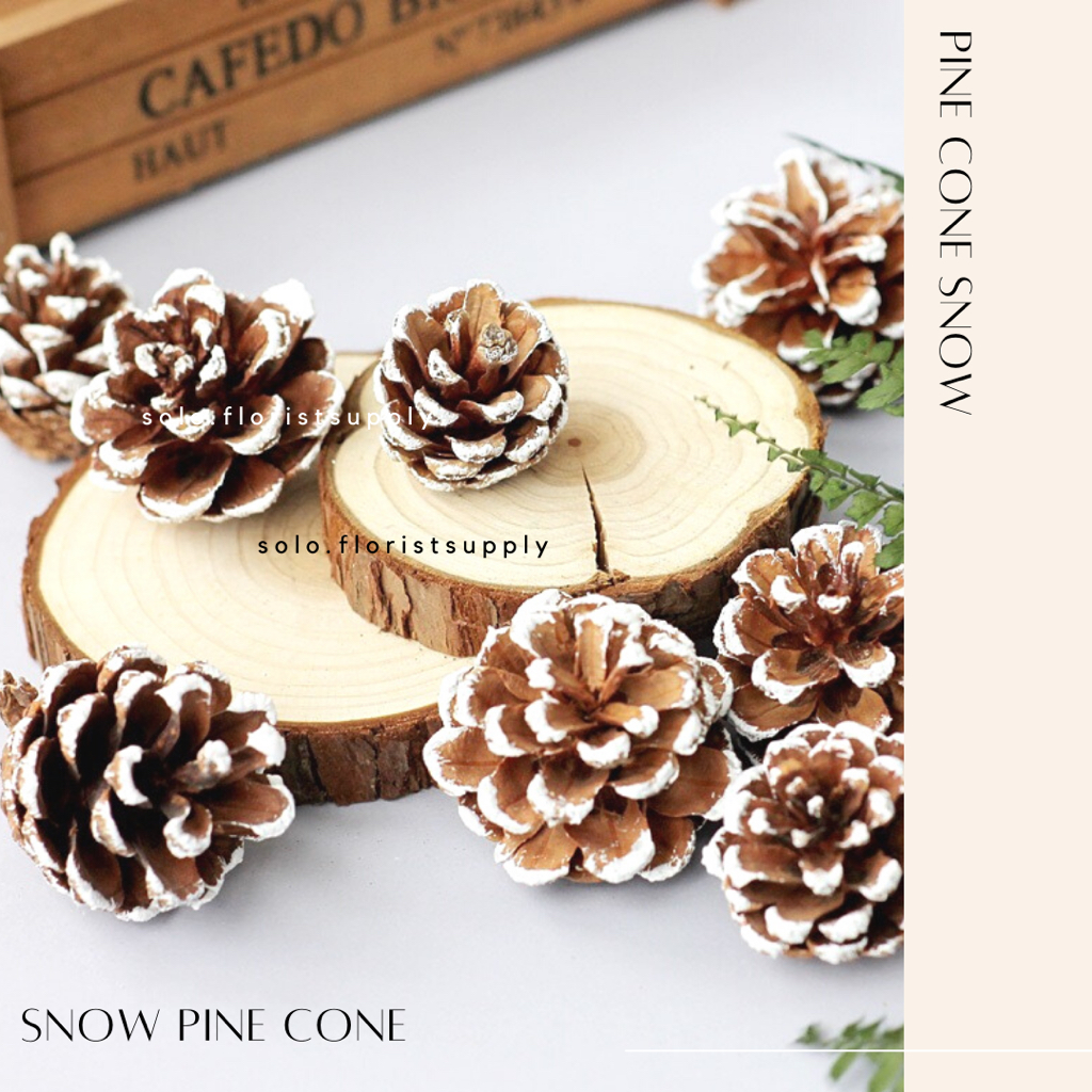 Jual PINE CONE SNOW Hiasan Natal Pinus Pine Aksesoris Ornamen Pohon ...