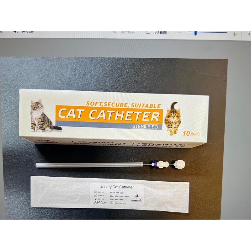 Jual Cat Catheter Kucing | Shopee Indonesia