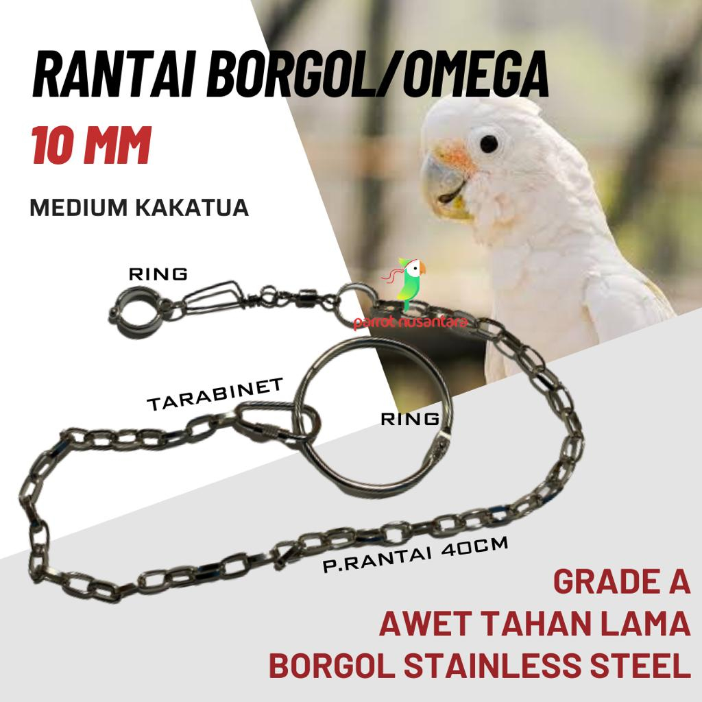 Jual RANTAI BORGOL KAKI KAKATUA MEDIUM FULLSET GELANG RING BORGOL 10 MM ...