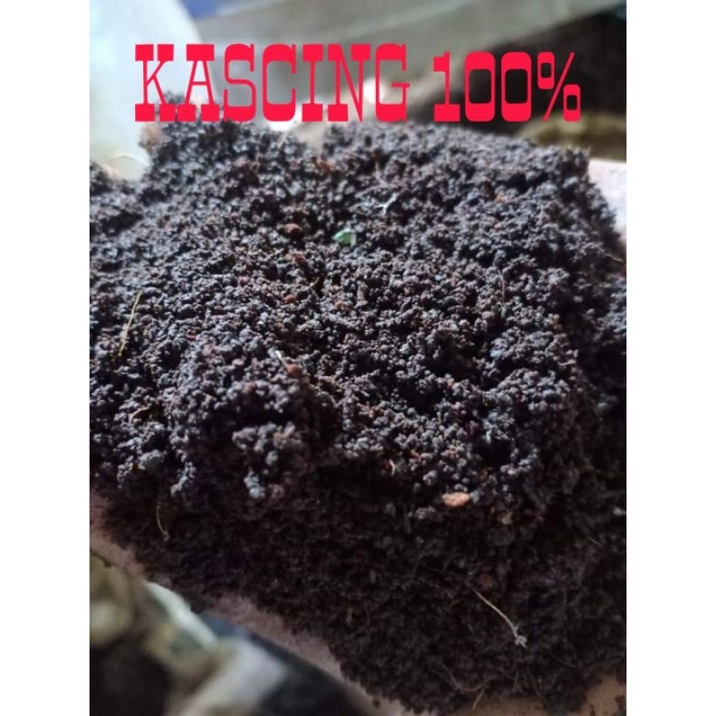 Jual PUPUK ORGANIK KASCING MURNI KOTORAN CACING 1KG / PUPUK KASCING ...