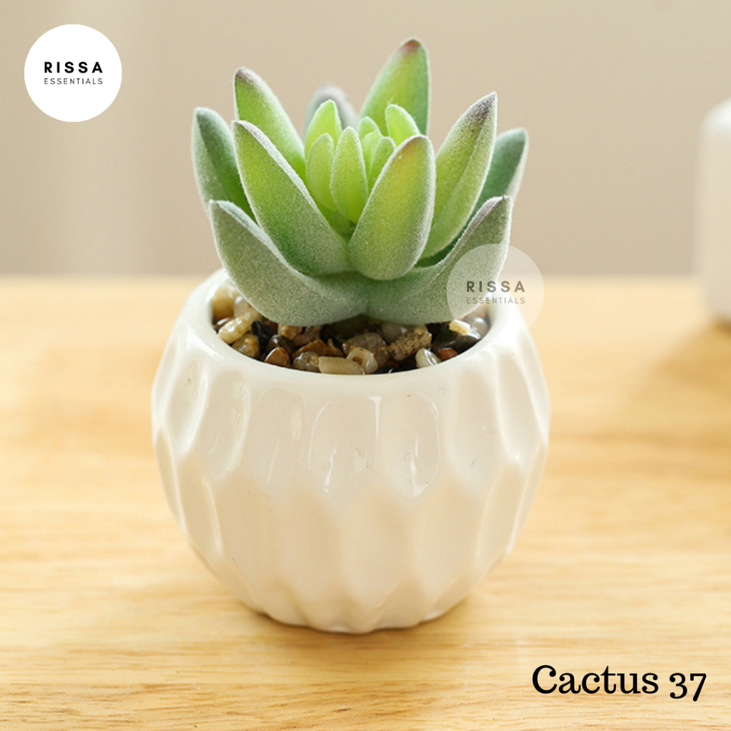 Jual [RISSA] Mini Kaktus Sintetis Cactus Palsu Kecil Tanaman Pot Palsu ...