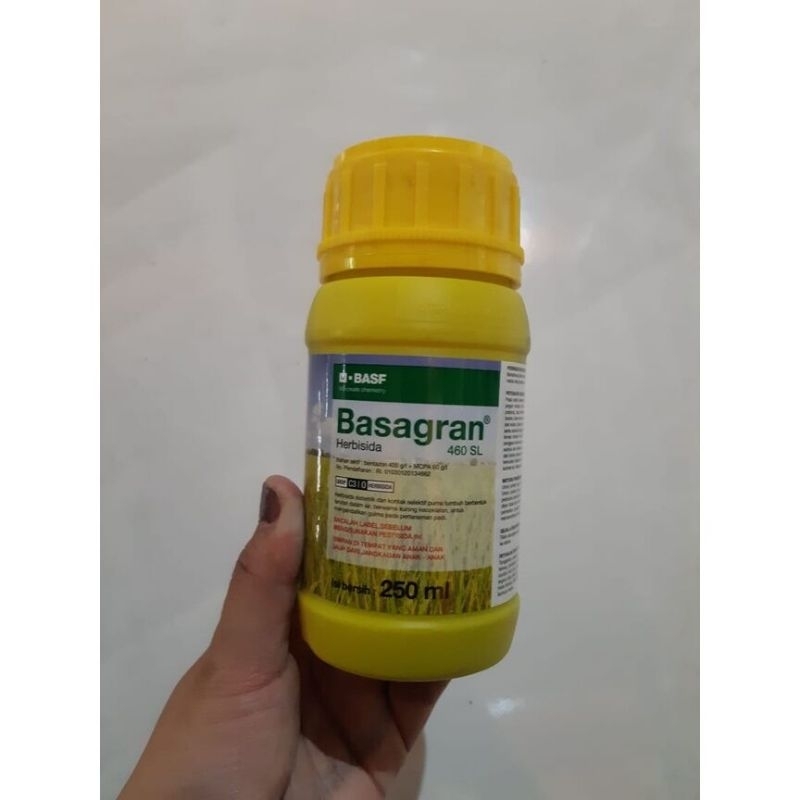 Jual Basagran herbisida 460 Sl 250ml | Shopee Indonesia
