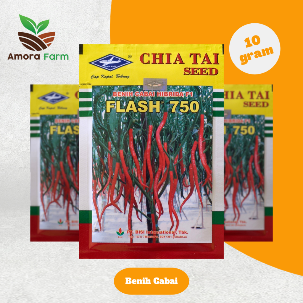 Jual Benih Cabai Hibrida F1 FLASH 750 10gr Cap Kapal Terbang | Shopee ...