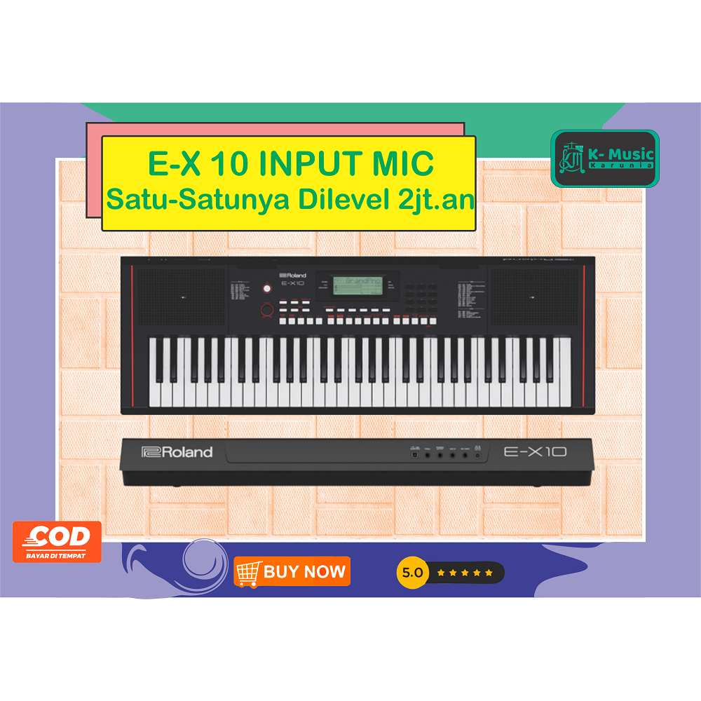 Jual Arranger Keyboard Roland EX10 E-X10 voice grand piano EX-10 input mic [hrg*bayar dtoko ...