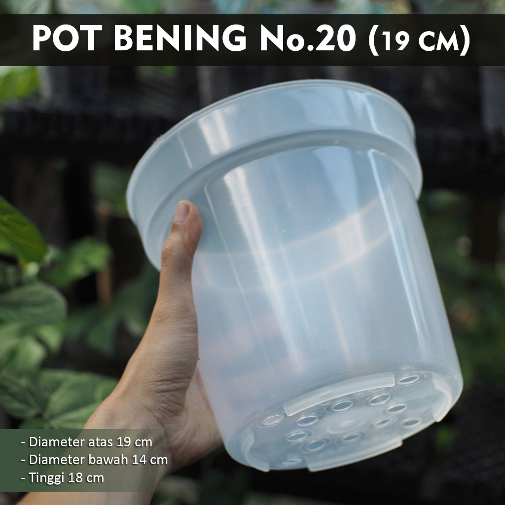 Jual Pot Bening Plastik No.20 (19 cm) - Pot Bening Poros - Pot Bening ...
