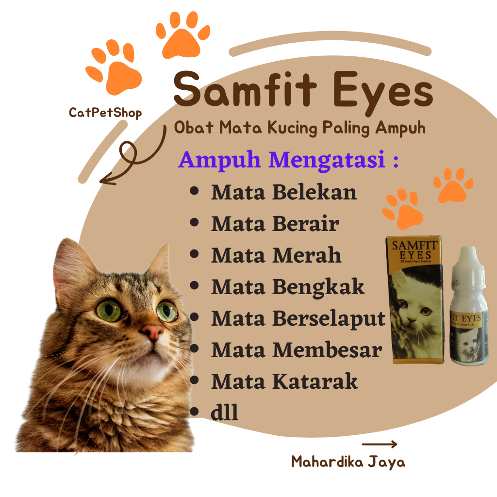 Jual Obat Mata Kucing Belekan Berair Bengkak Infeksi Berselaput ...