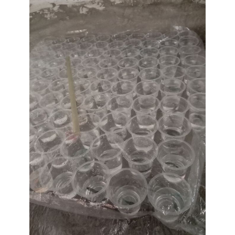 Jual Cupang 10 Hm , 10 plakat , 10 serit , 10 Plakat big ear | Shopee Indonesia