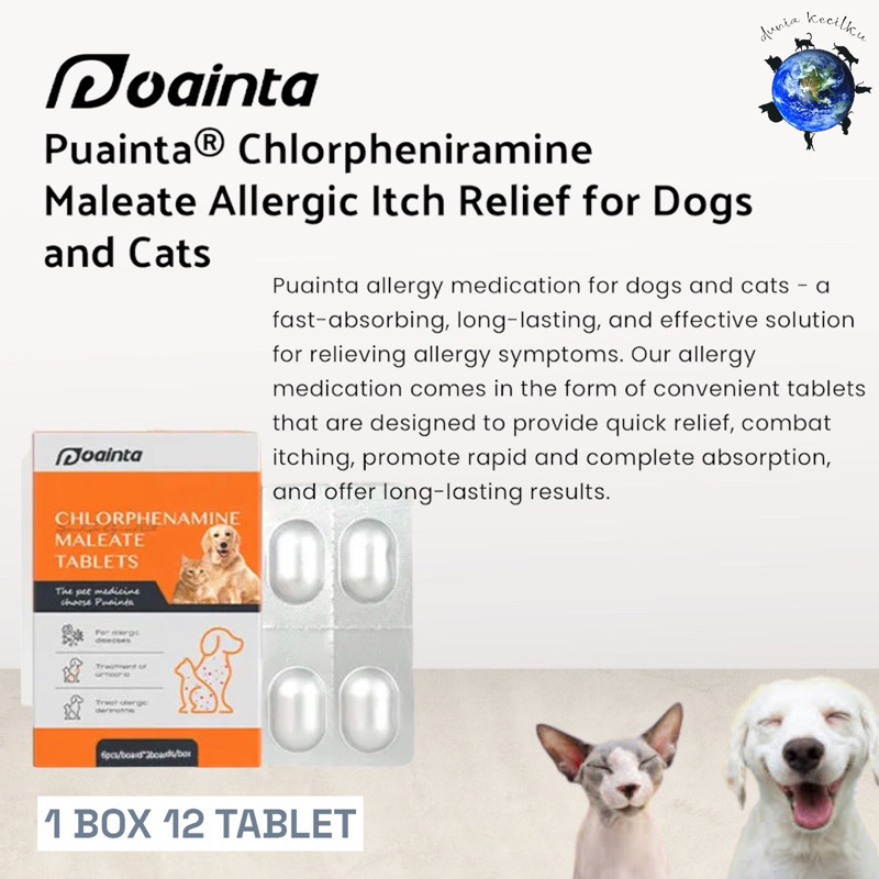 Jual Puainta Allergic Itch Relief - Obat Alergi Anjing Kucing (1 Box 12 ...