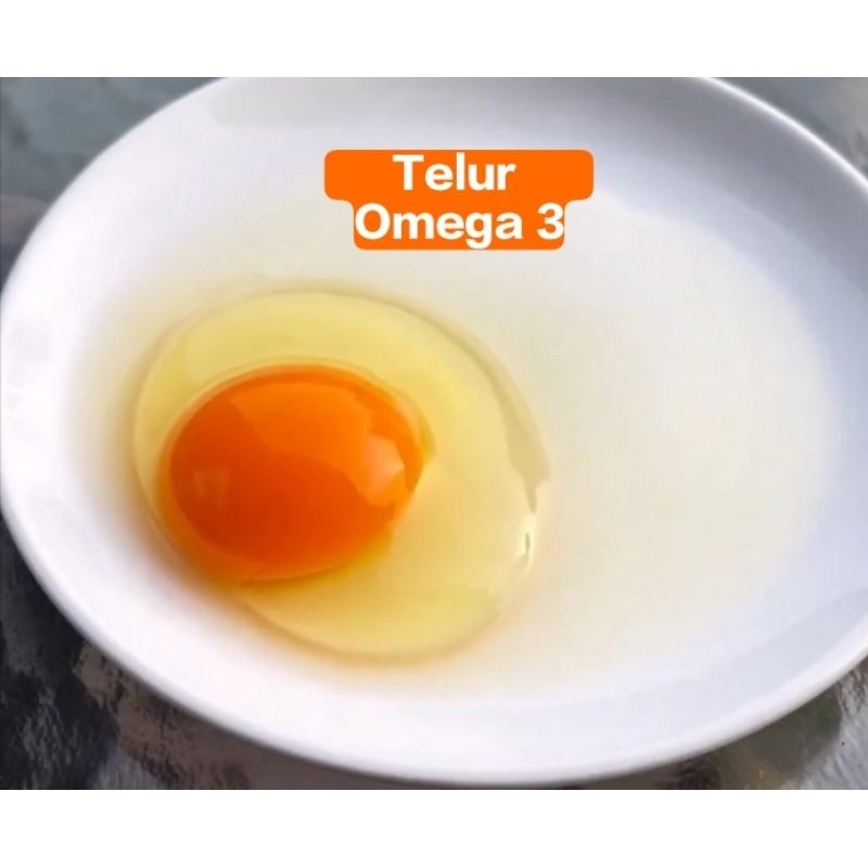 Jual TELUR AYAM OMEGA 3 PREMIUM || 1KG (15-18butir) | Shopee Indonesia