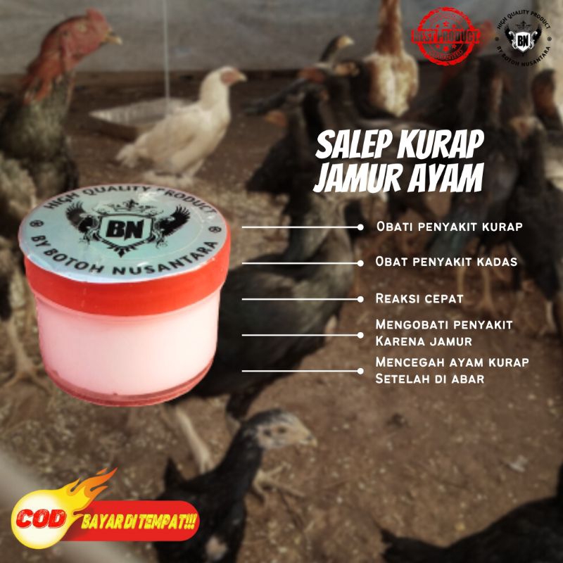 Jual Salep ayam penyakit kurap jamur buras kurapan koreb KOREPBN+ ...