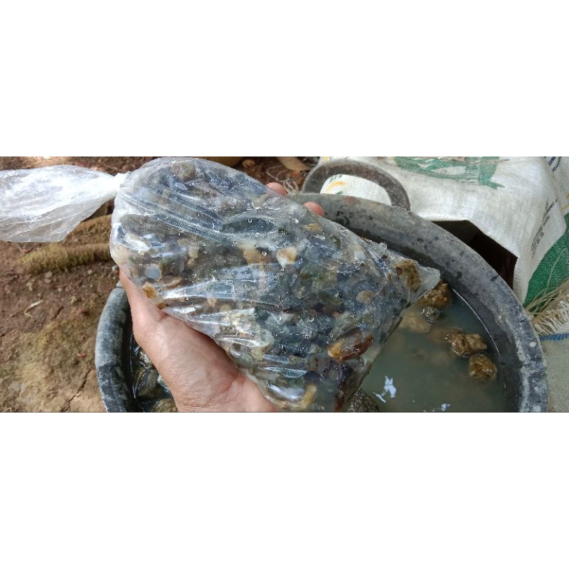 Jual BAHAN KALIMAYA NOL JARONG 1KG | Shopee Indonesia
