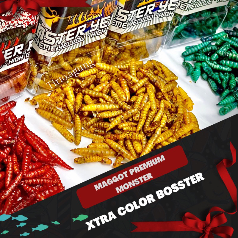 Jual MAGGOT UDANG MONSTER PREMIUM MAGOT COLOR BOSSTER RED BLUE YELLOW ...