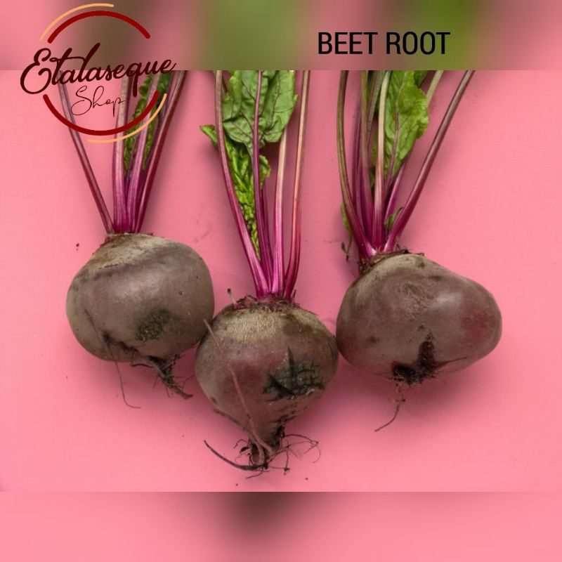 Jual Buah Bit/Beet root 1kg / 500gr fresssh | Shopee Indonesia