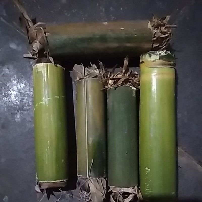 Jual Ulat bumbung isi 20 ulat bambu umpan pancing. grantang | Shopee ...