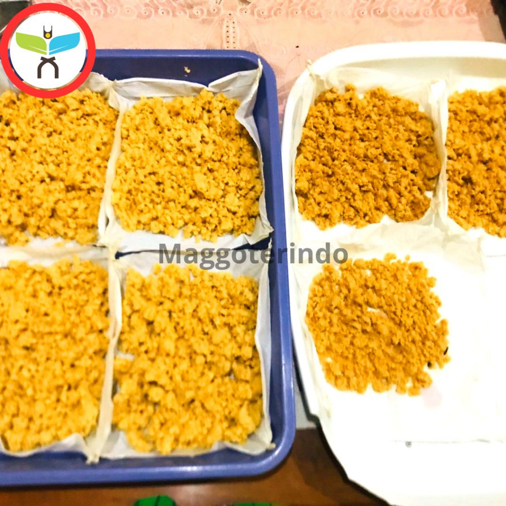 Jual Telur Maggot BSF Indukan Super Unggul Paket 15 Gram | Shopee Indonesia