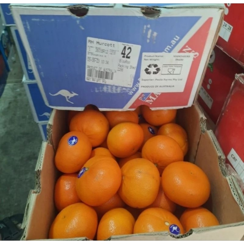 Jual Jeruk Honey Murcot Fresh 1 Kg | Shopee Indonesia