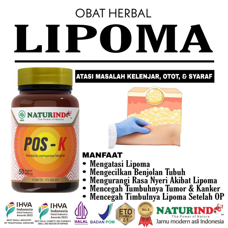 Jual Obat Lipoma Benjolan Lemak Tanpa Operasi Pos K Naturindo 50 Kapsul ...