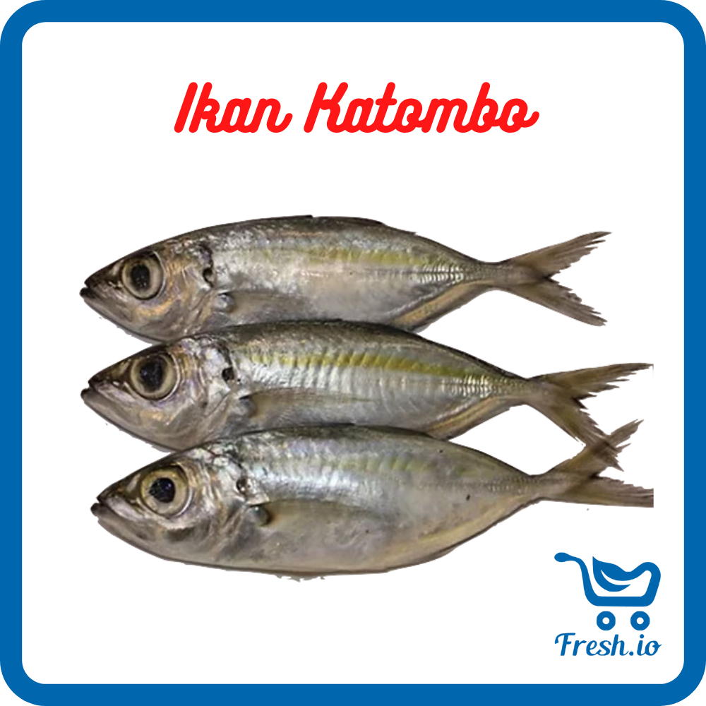 Jual Ikan Katombo | Shopee Indonesia