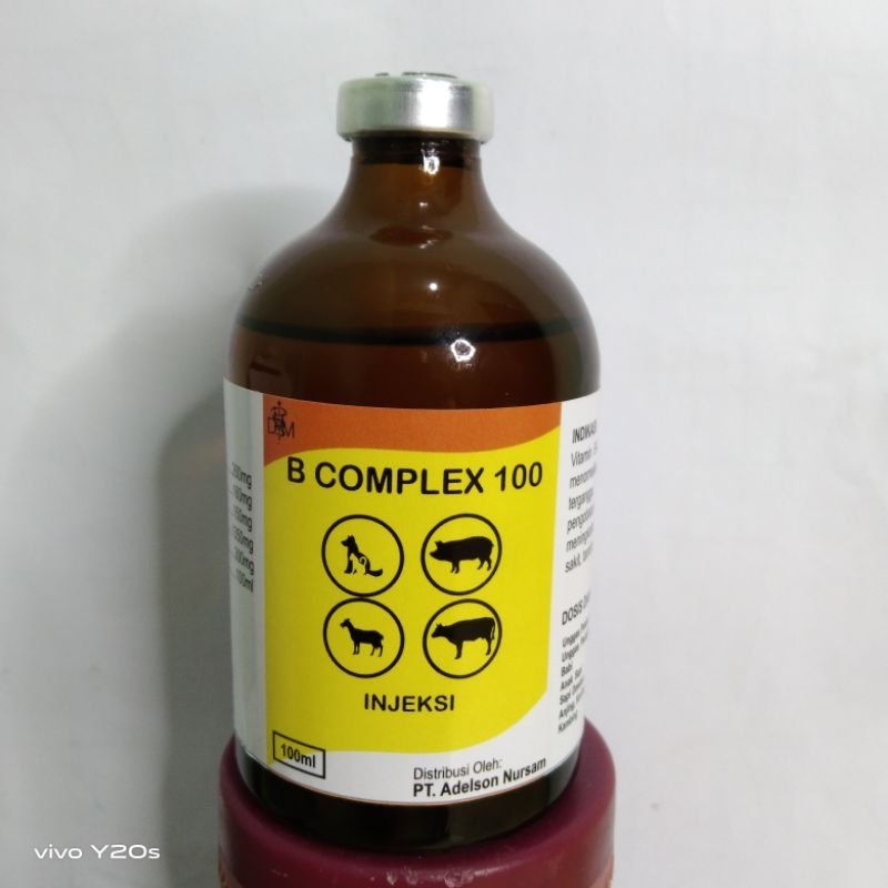 Jual b complex 100ml injeksi | Shopee Indonesia