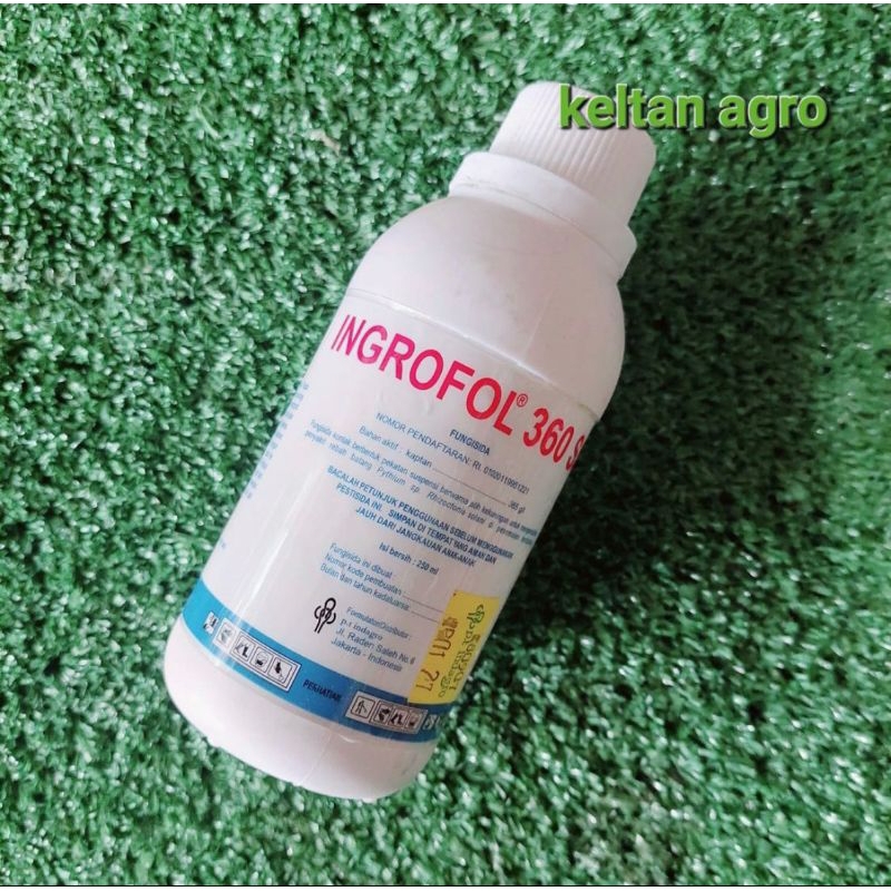 Jual INGROFOL 360 SC ( 250 ML ) Fungisida mengatasi layu dan rebah batang | Shopee Indonesia