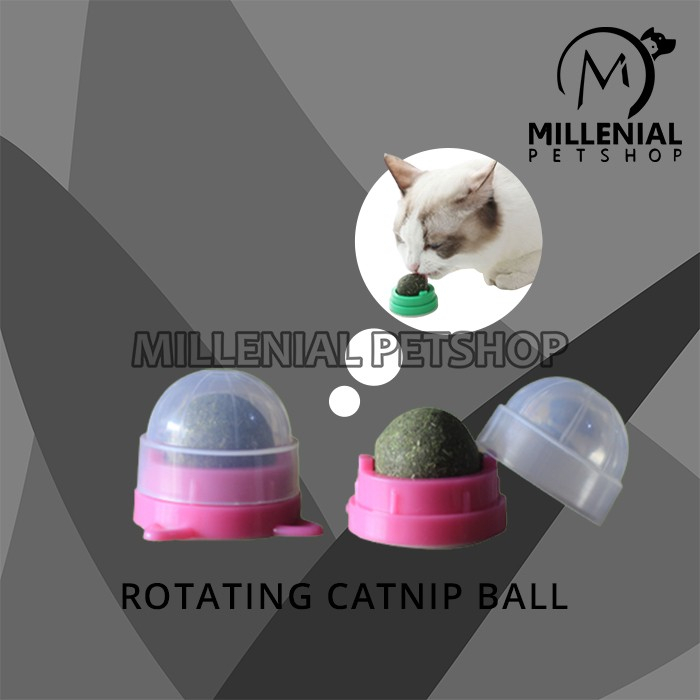 Jual Mainan Kucing Cat toys Bola Catnip Ball | Shopee Indonesia