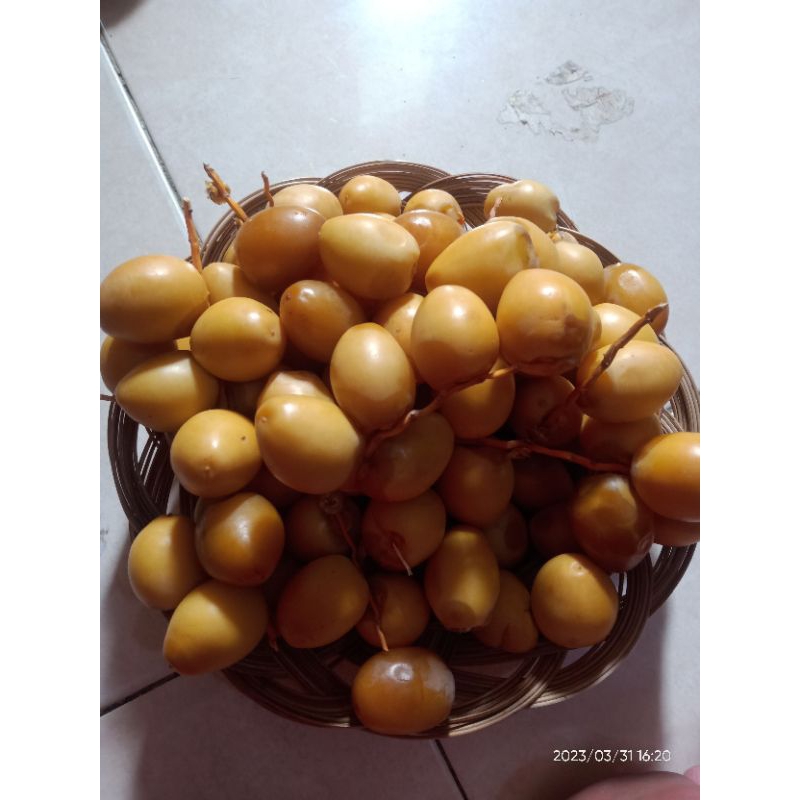 Jual Kurma muda beku/frozen ruthob untuk promil | Shopee Indonesia