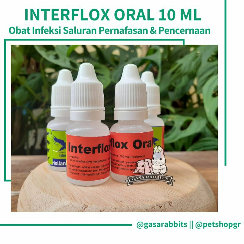 Jual INTERFLOX ORAL - OBAT KELINCI INTERFLOX - INTERFLOX OBAT KELINCI ...