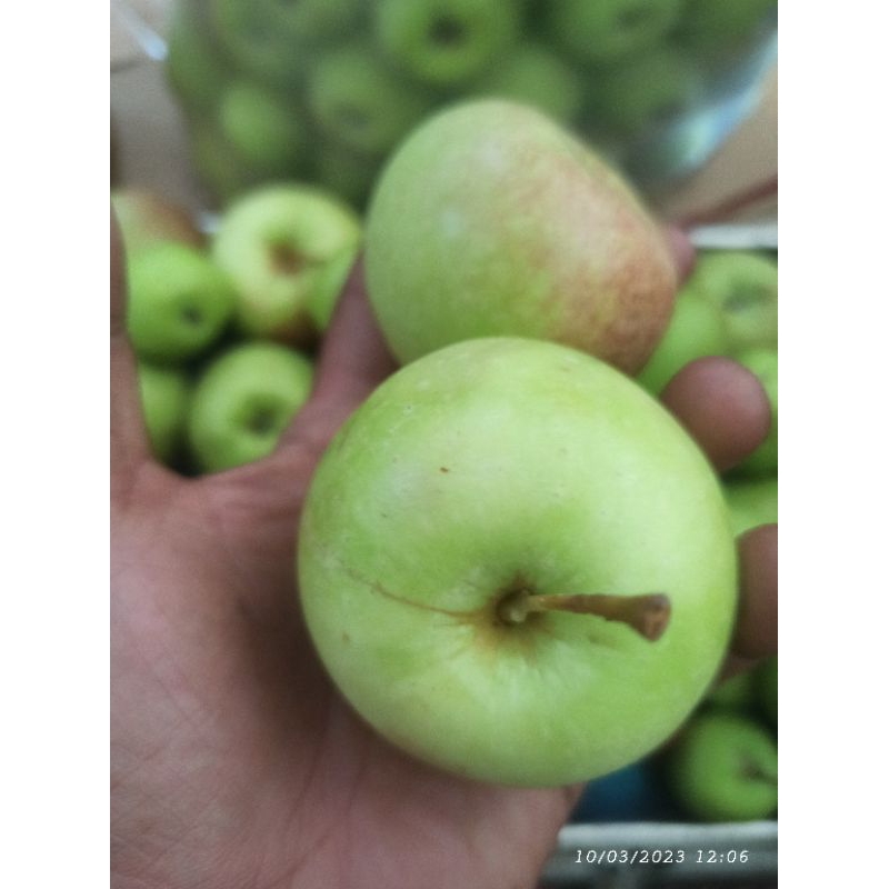 Jual Apel Manalagi 1kg Isi 10-20 buah n fresh | Shopee Indonesia