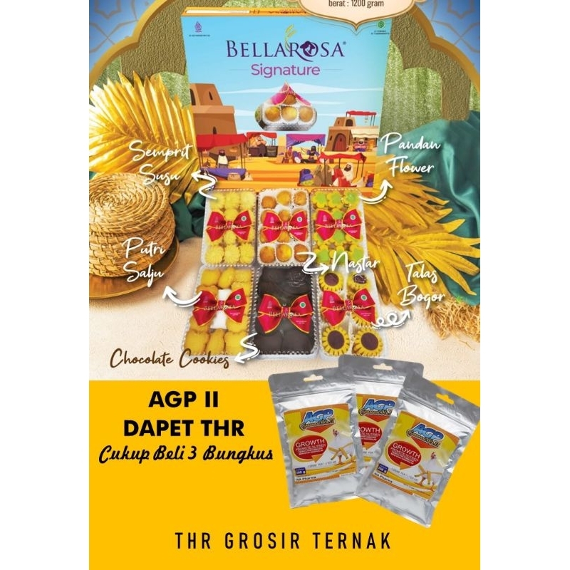 Jual paket 3 Bungkus AGP II plus THR | Shopee Indonesia