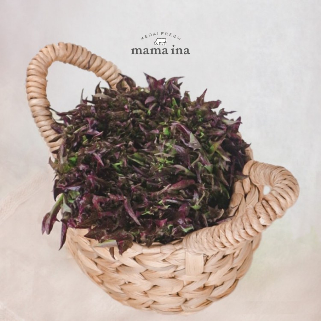 Jual Salanova Red Fries 200g | Shopee Indonesia