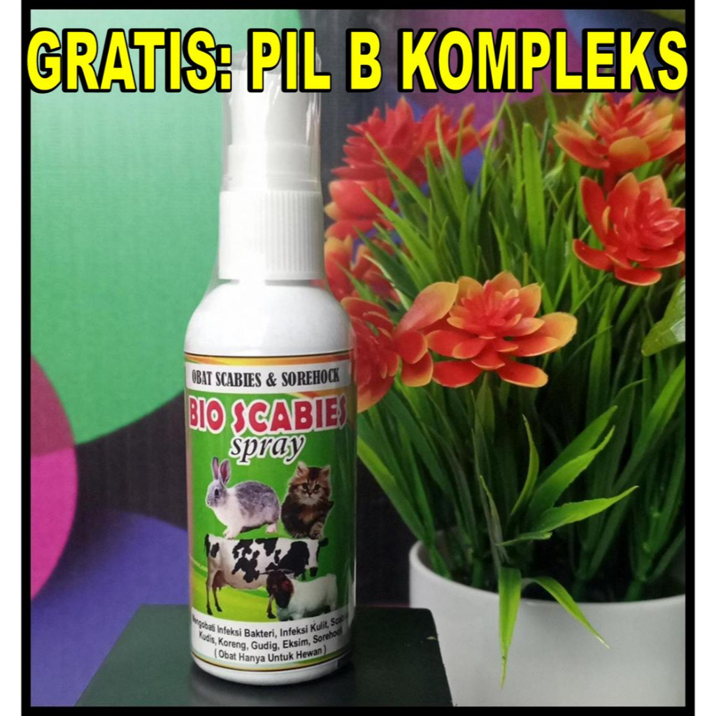 Jual Salep Scabies Spray, Obat Scabies Semprot, Obat Sorehock Hewan ...