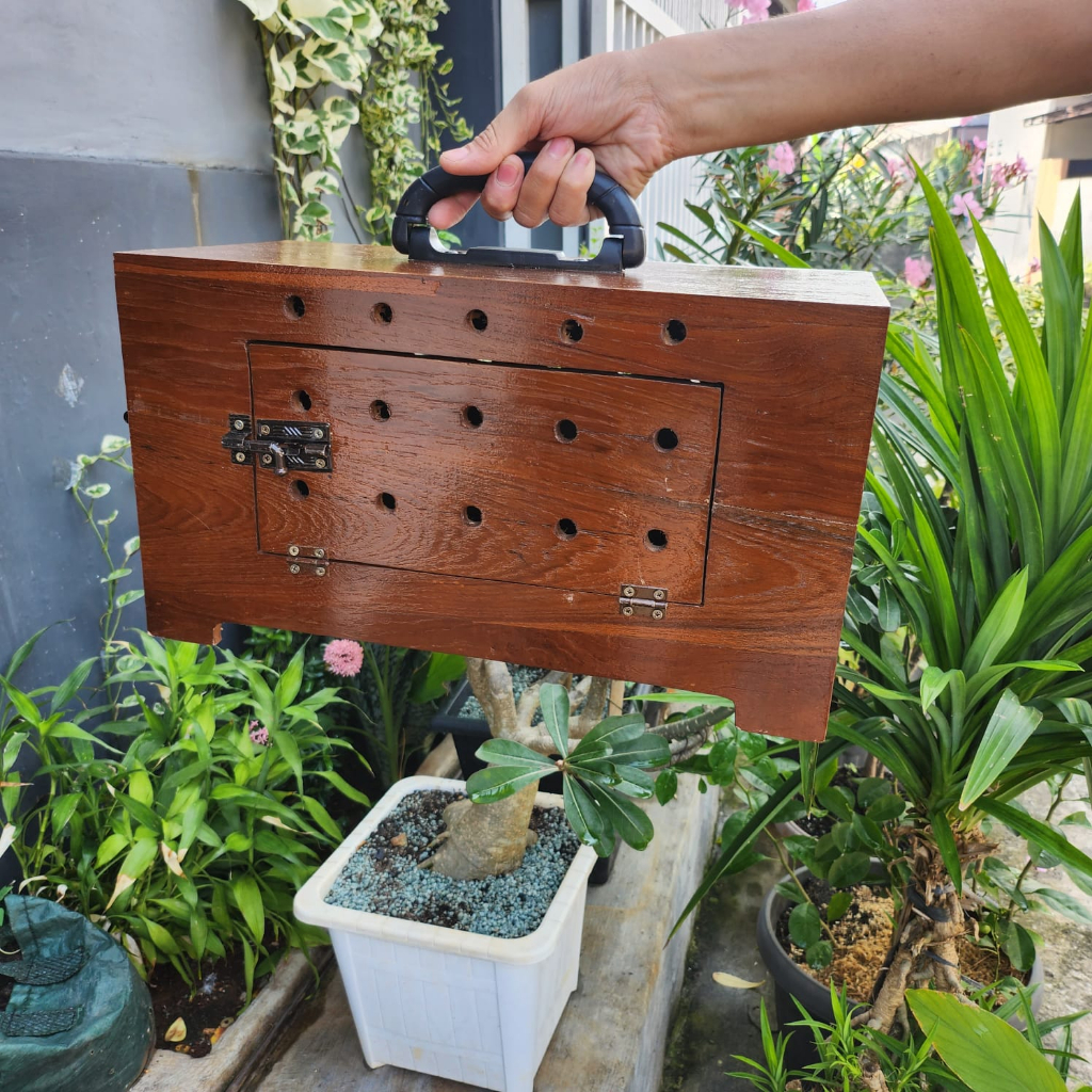 Jual BOX FREE FLY KAYU JATI UNTUK SMALL PARROT BOX FF BURUNG | Shopee ...